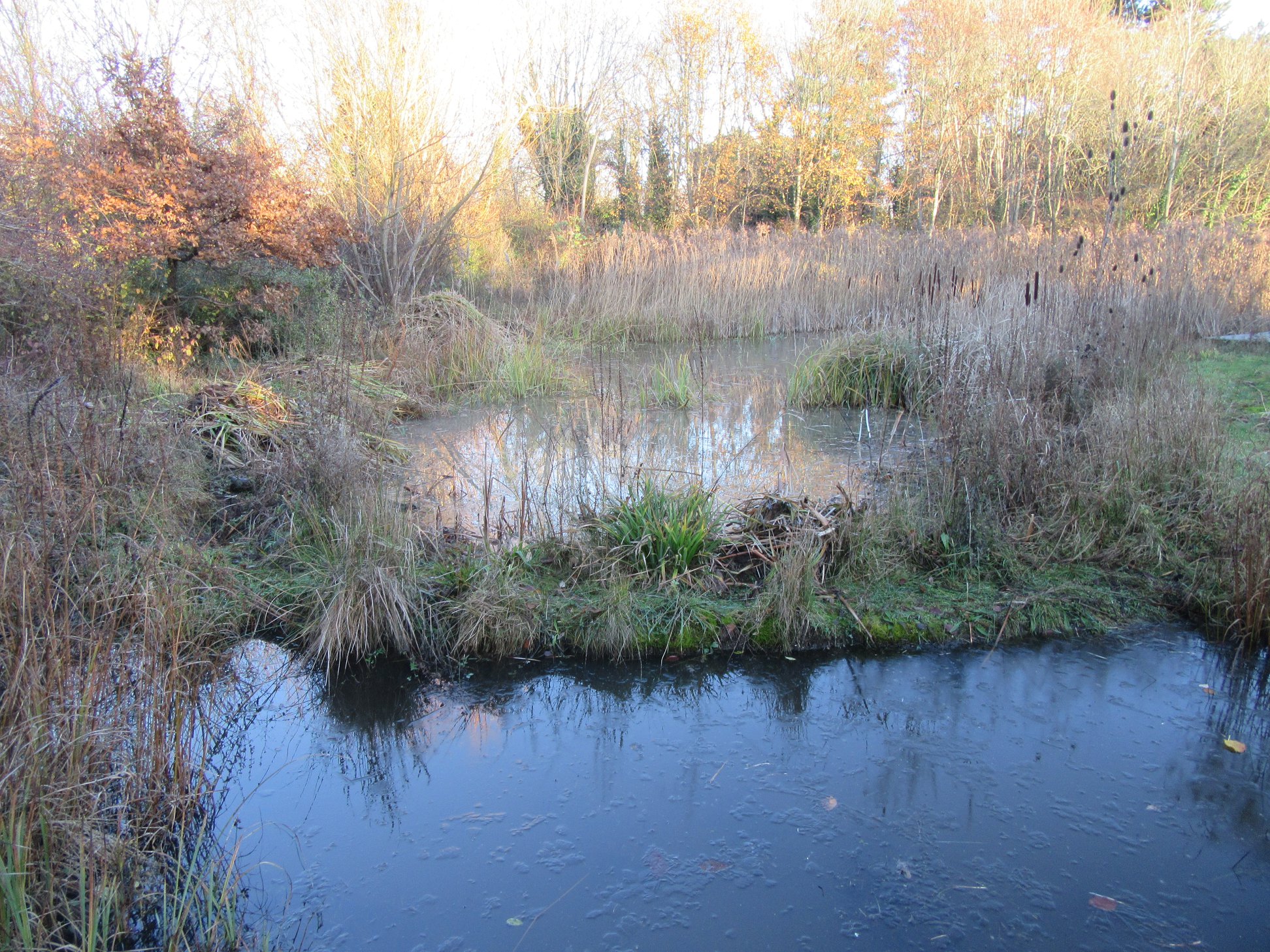 Achievements Timeline - Sutton Nature Conservation Volunteers